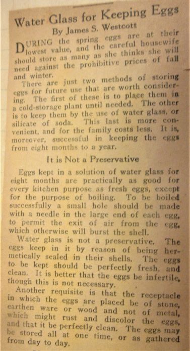April 6; How to Make Your Own: 1900 through 1920's: Preserved Eggs in ...